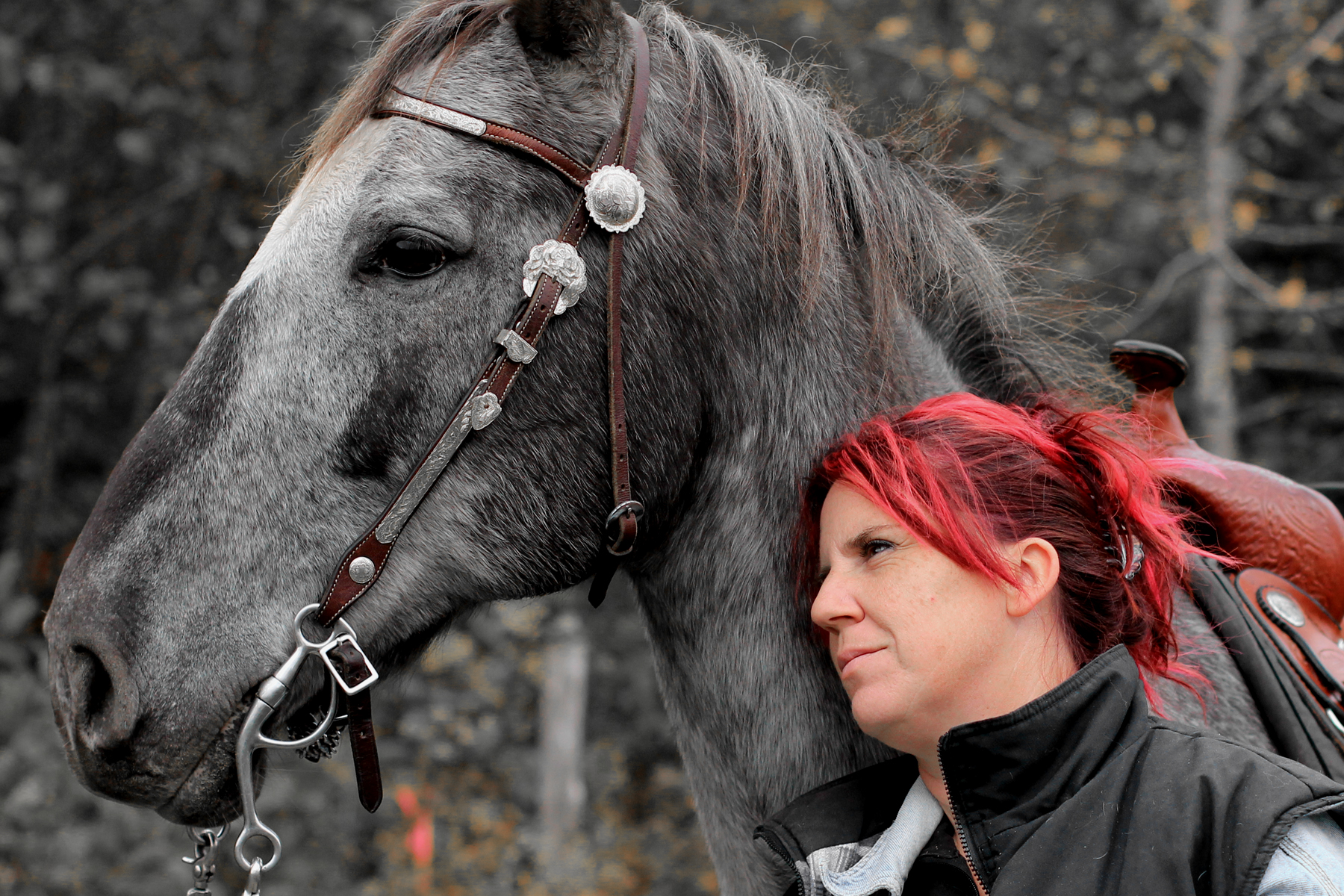 À propos – Communication Équin